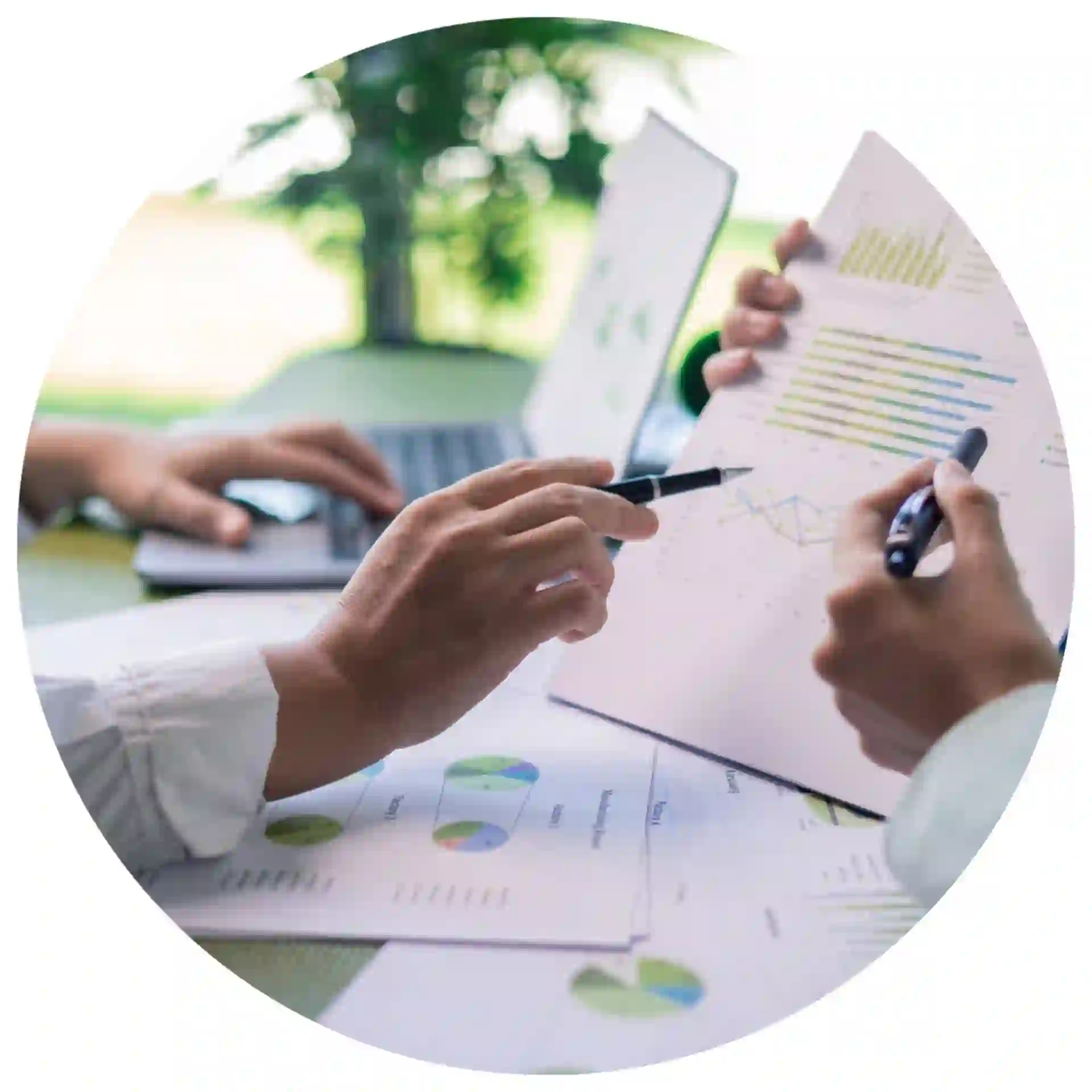 SAP Sustainability Footprint Management | msg global